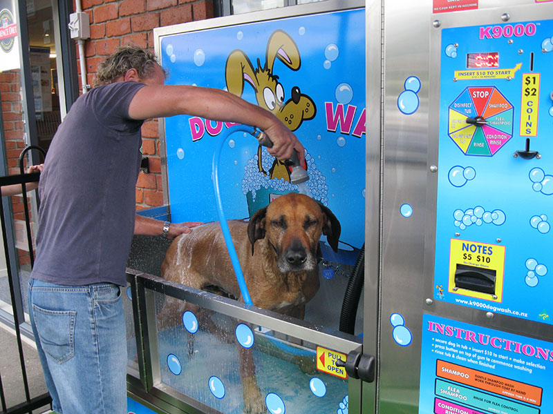 Diy dog wash near me store